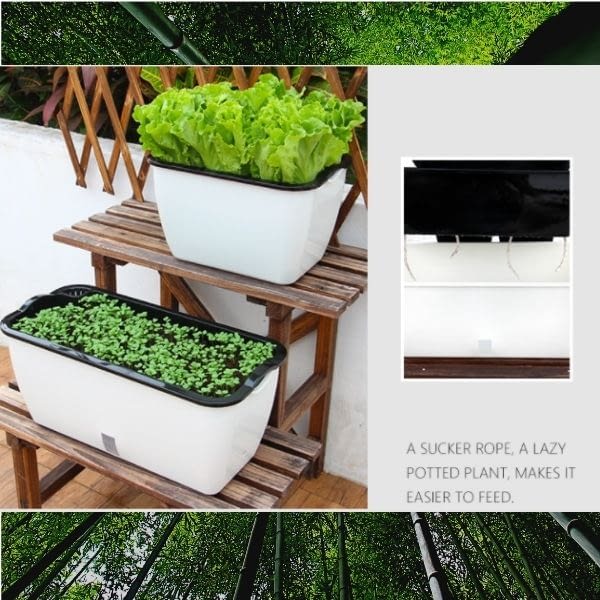 Self Watering Grow Box (Petite) - Home Farming Singapore