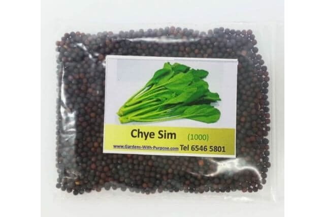 How do grow Chye Sim (Cai Xin) in Singapore? - Home Farming Singapore